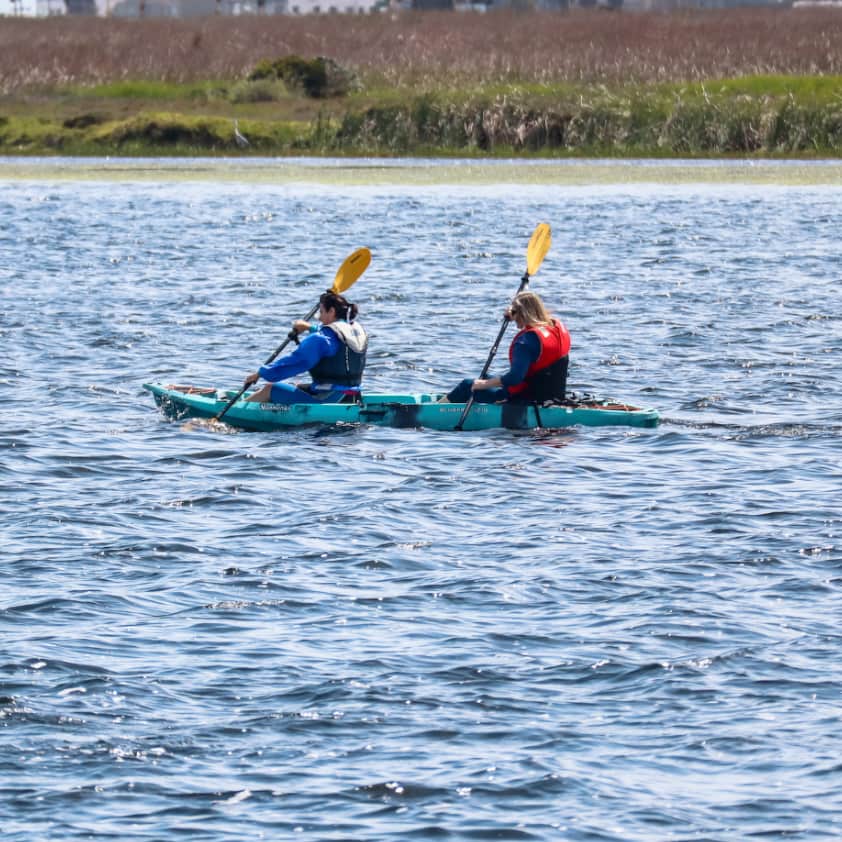 13'0 Elite Pro Angler Kayak | Shop Best Fishing Kayaks Online ...